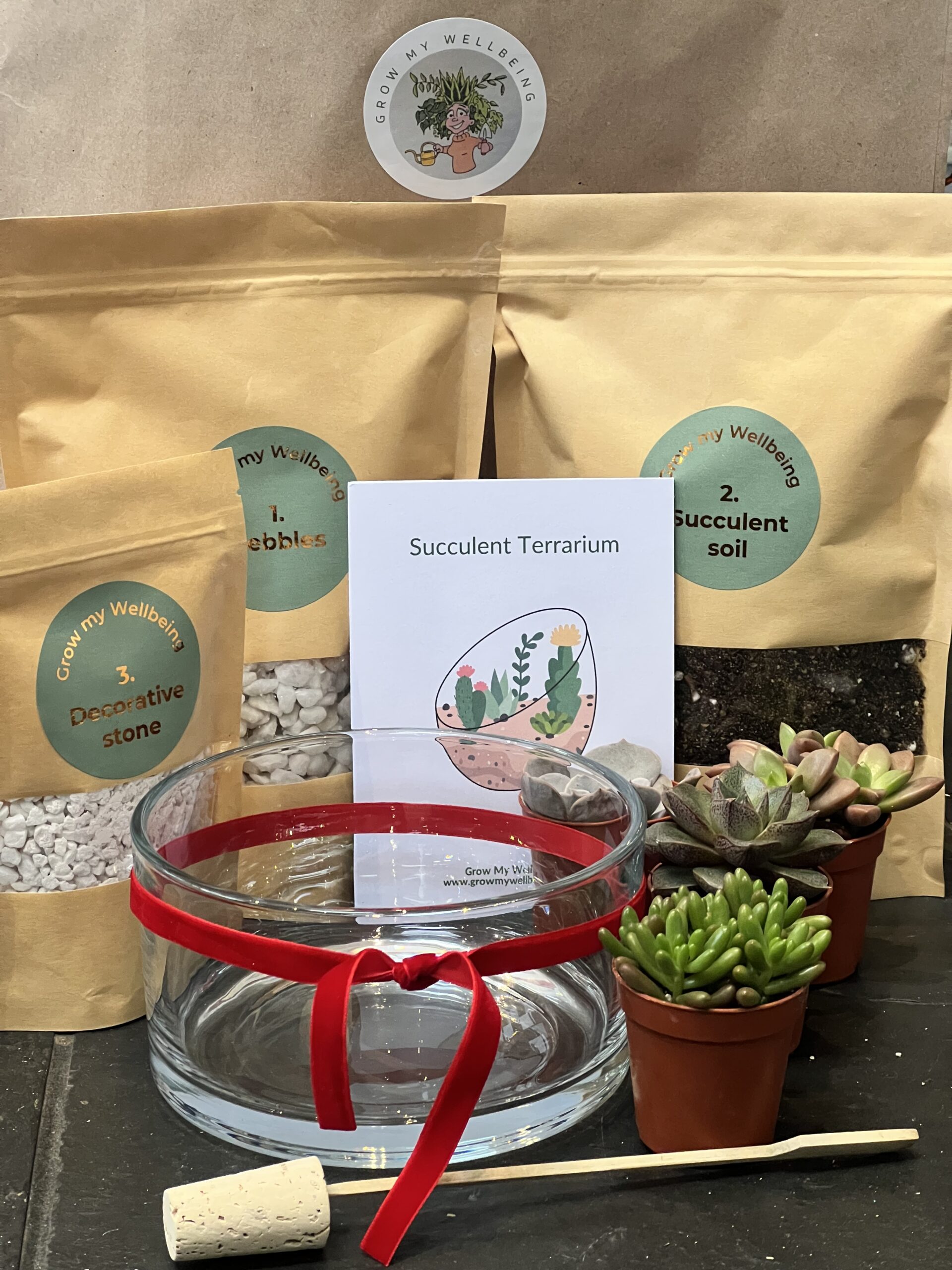 Diy Succulent Terrarium Kit